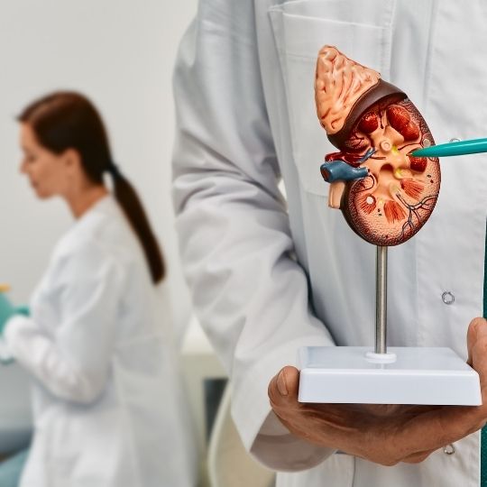 Nephrectomy Cost & Reviews in Izmir, Turkey - Egepol Hospitals